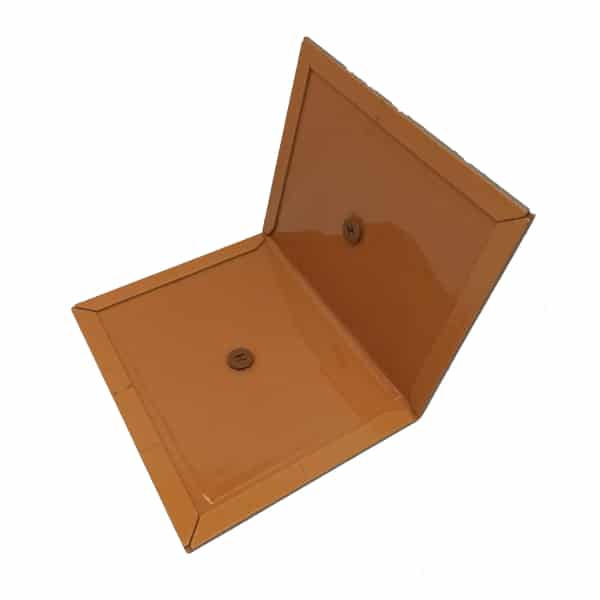 10x Lijmplank Muizen & Ratten - 34x22cm opvouwbaar (lijmval) » Budget ...