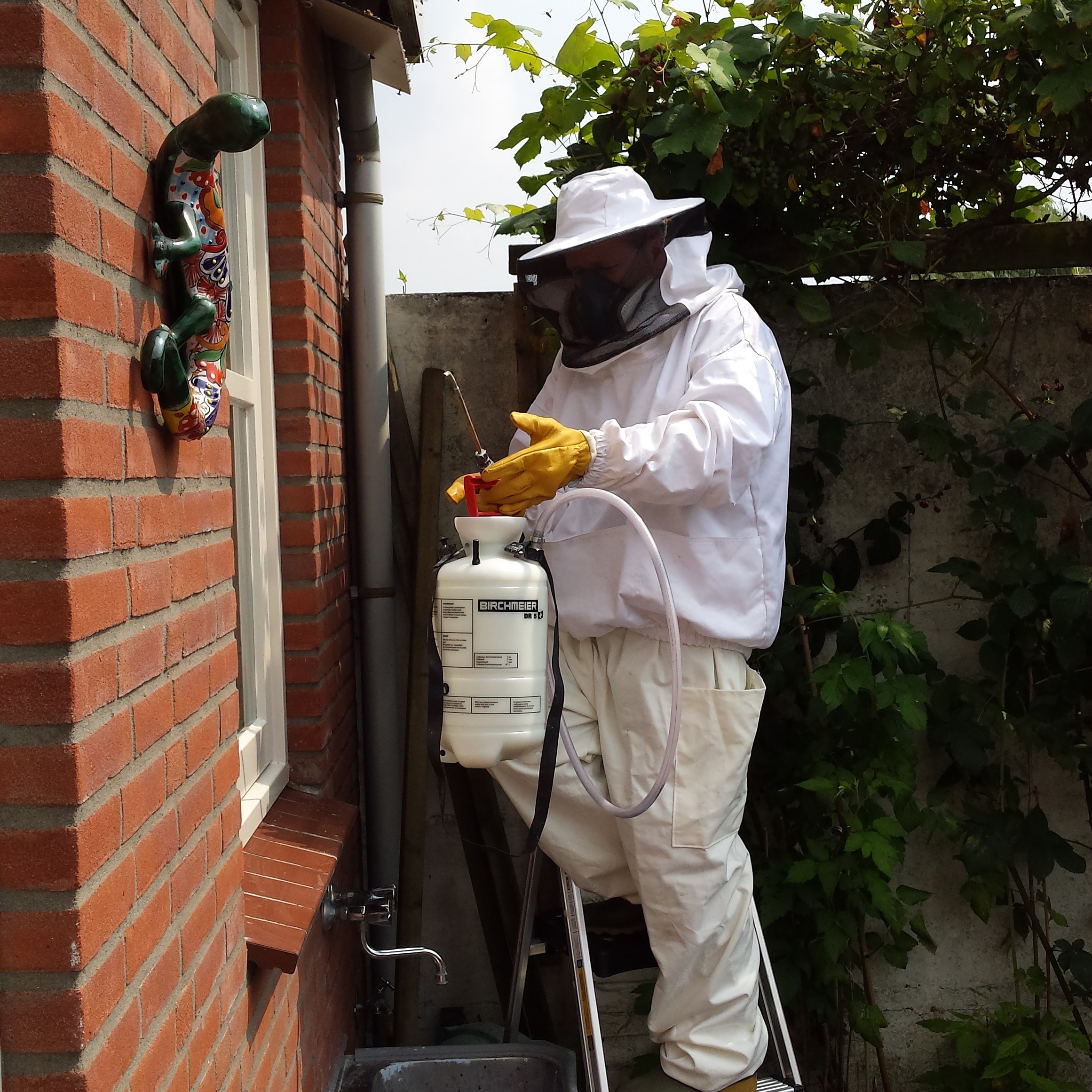 Op welke manieren kan ik ongedierte bestrijden? | Budget Ongedierte ...